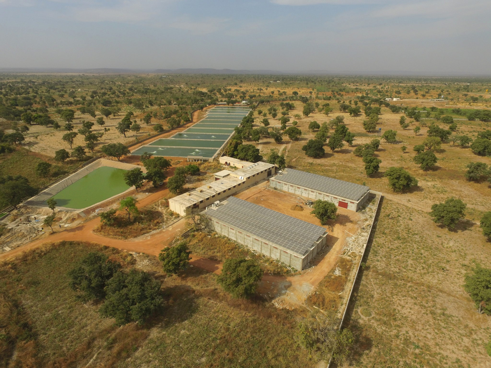 Large-scale Fish Farm catches the Sun - Victron Energy