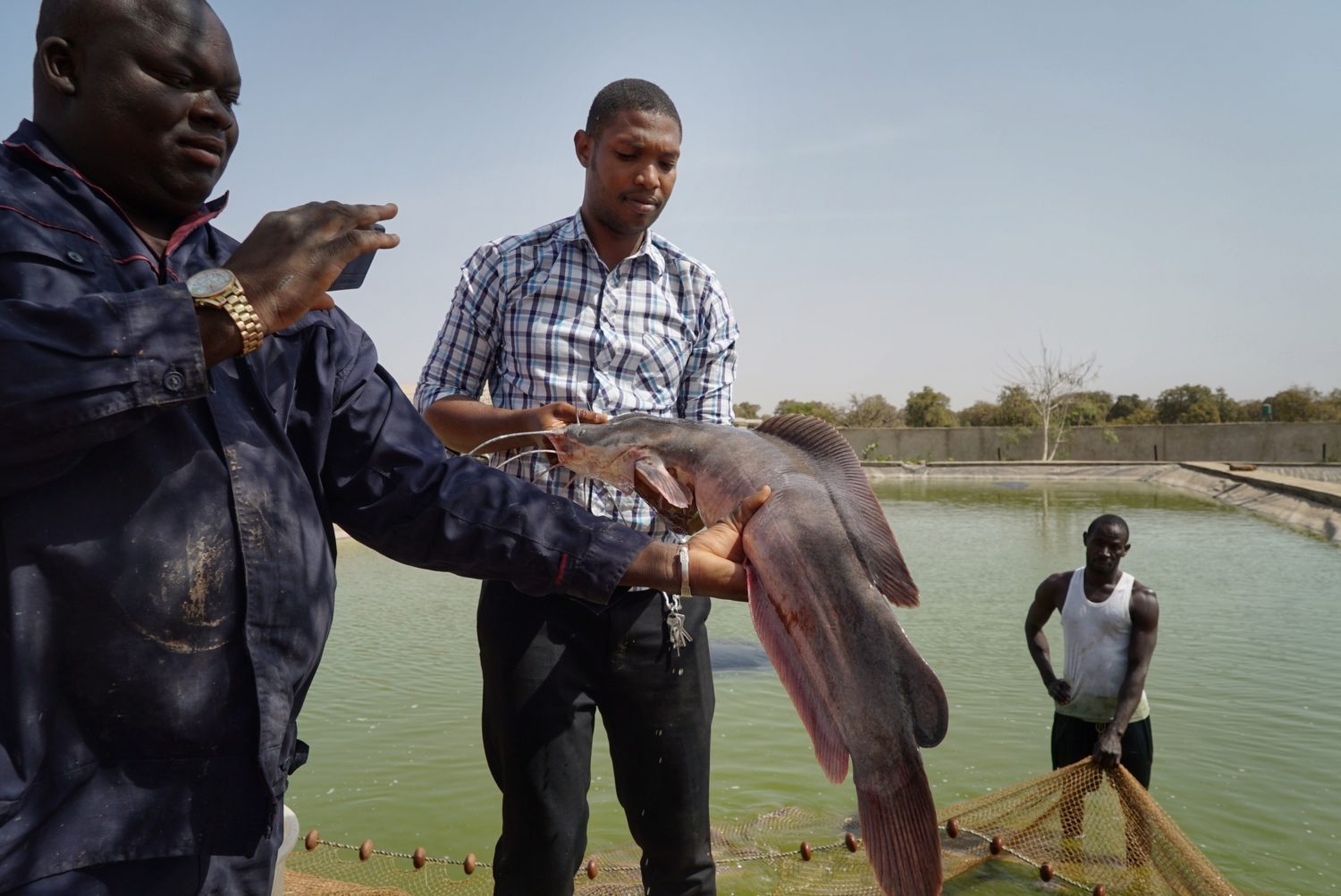 Large-scale Fish Farm catches the Sun - Victron Energy