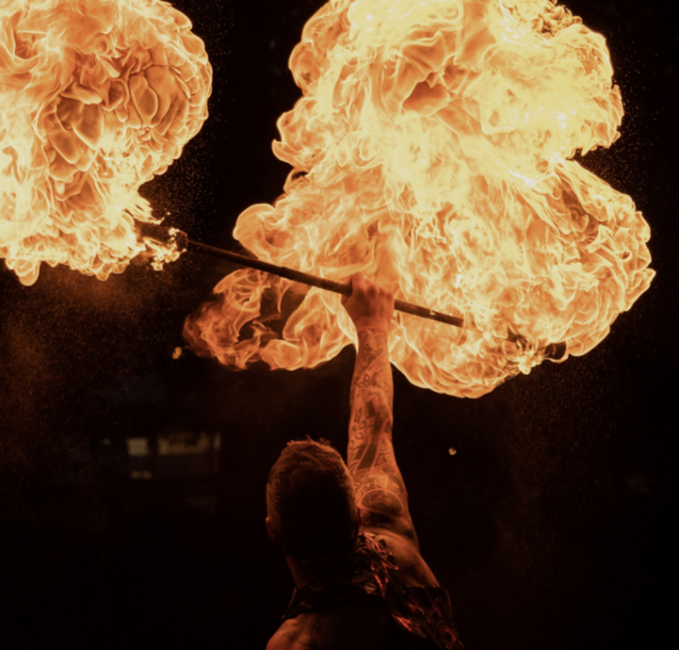 Zen Jungle Retreat - Victron Energy