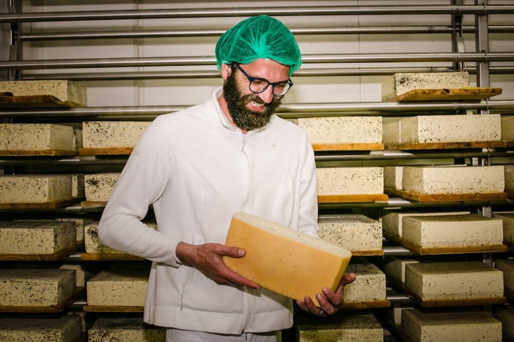 Premium cheese maker uses natural ingredients and solar energy ...