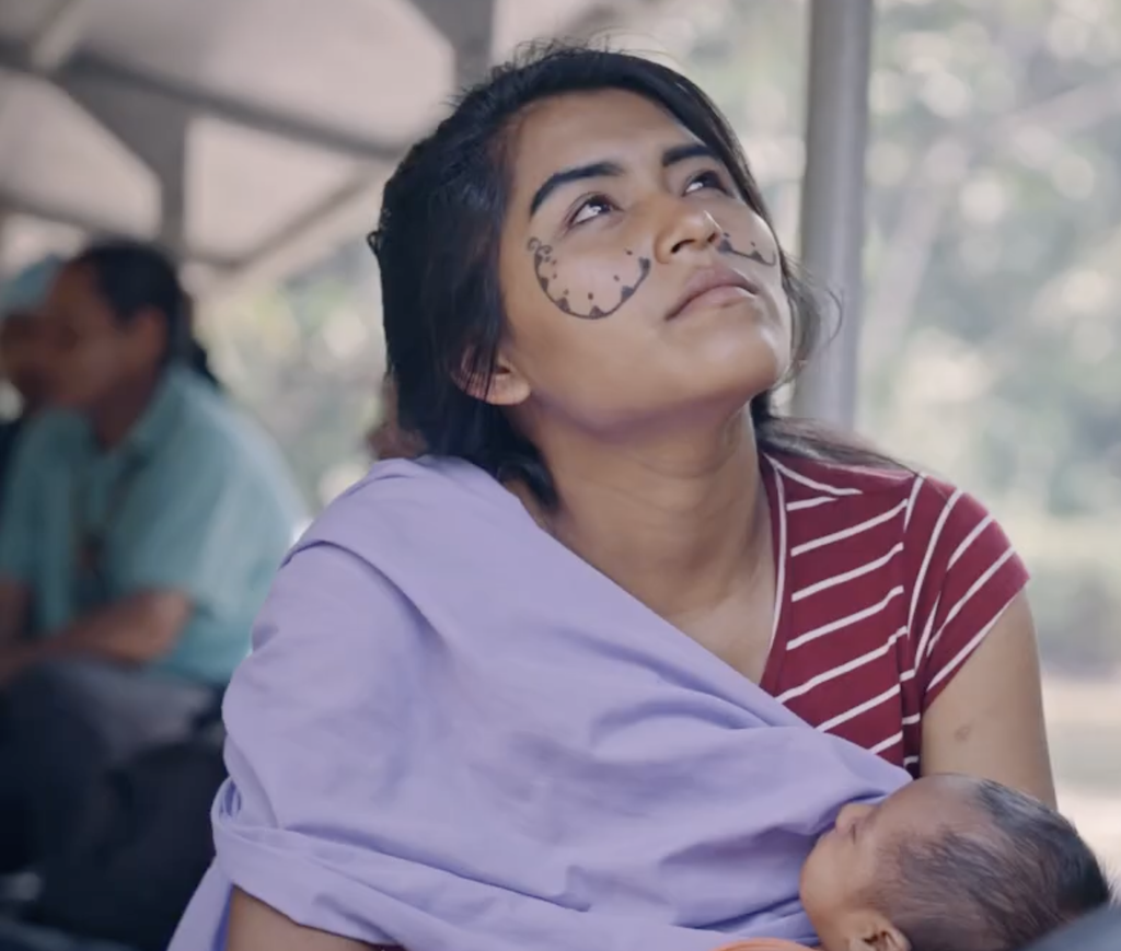 Amazon's Solar Boats bringing hope for the future - Victron Energy